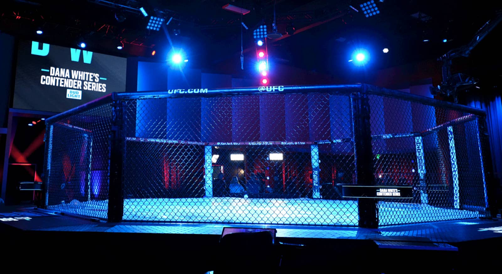 Four fighters earn UFC contracts in Dana White's Contender Series 8 ...