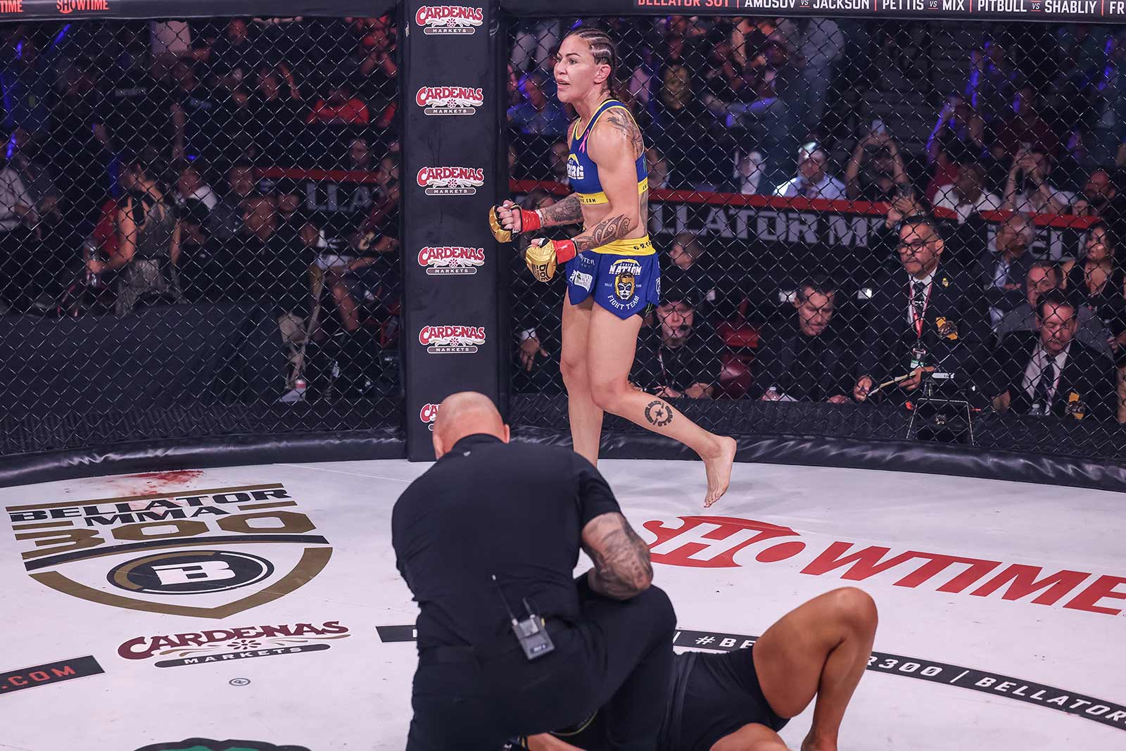 Bellator 300: Chris Cyborg KO's Cat Zingano Photo Gallery - MMA Weekly