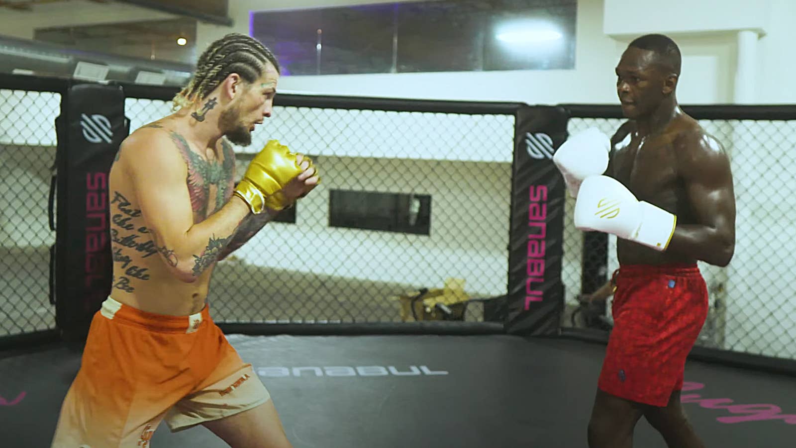 Sean O'Malley spars with Israel Adesanya ahead of UFC 316 title fight ...
