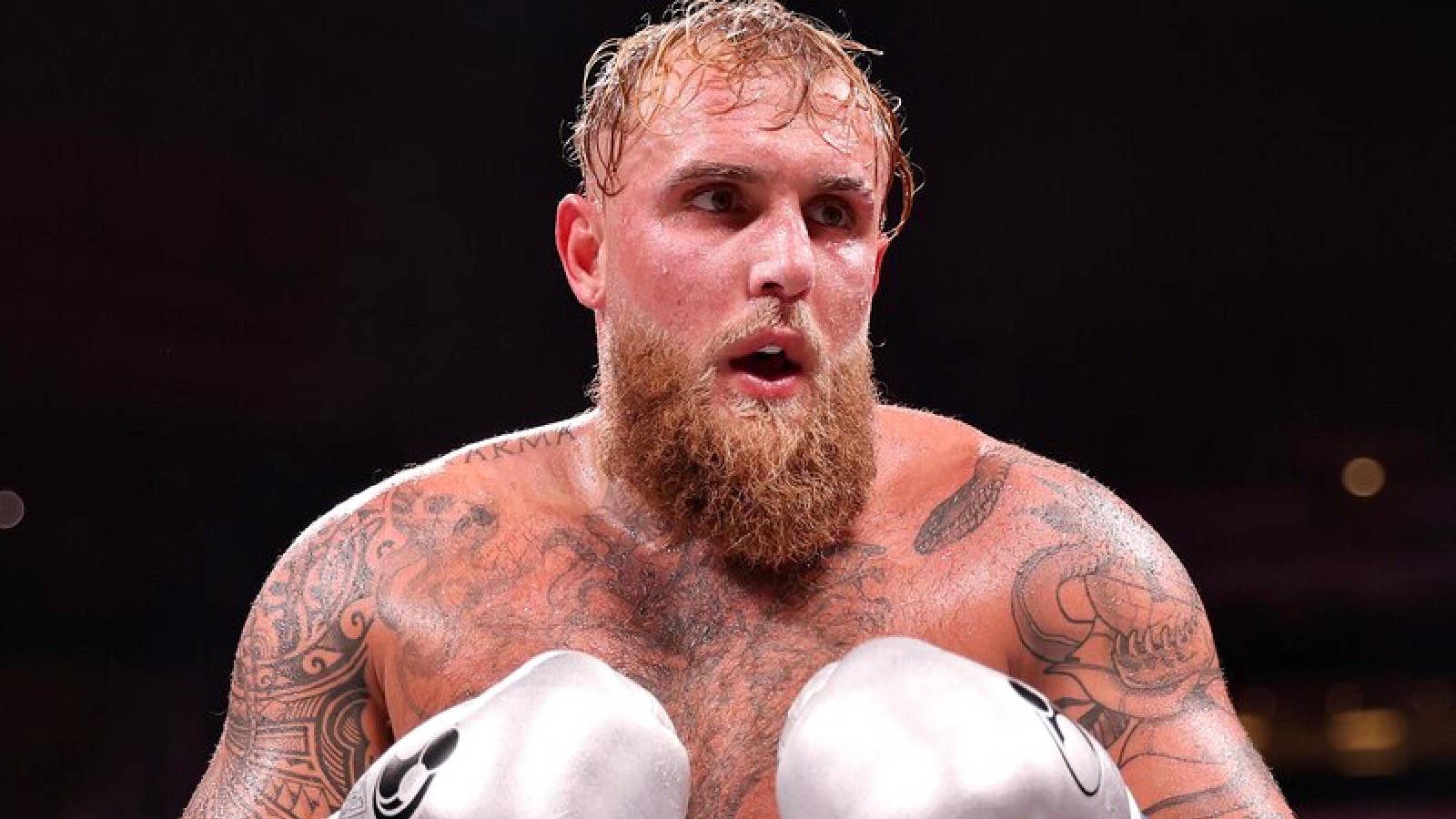 Jake Paul and Francis Ngannou's intense confrontation green-lights a ...
