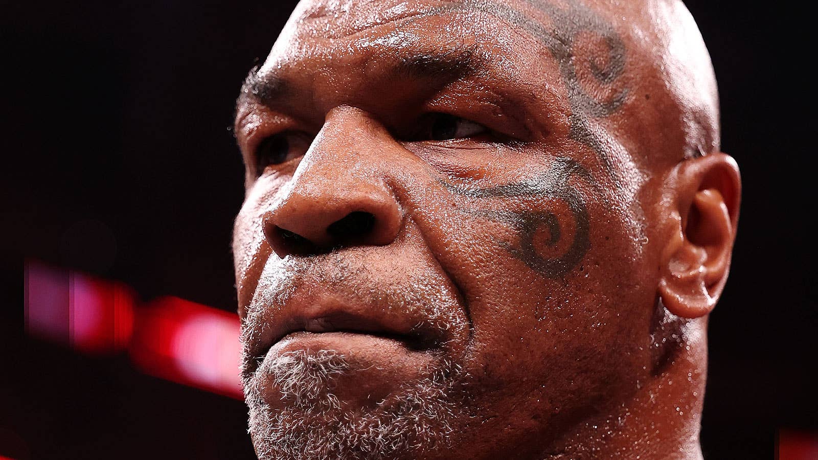 Mike Tyson suffers memory loss after Jake Paul fight - MMA Weekly