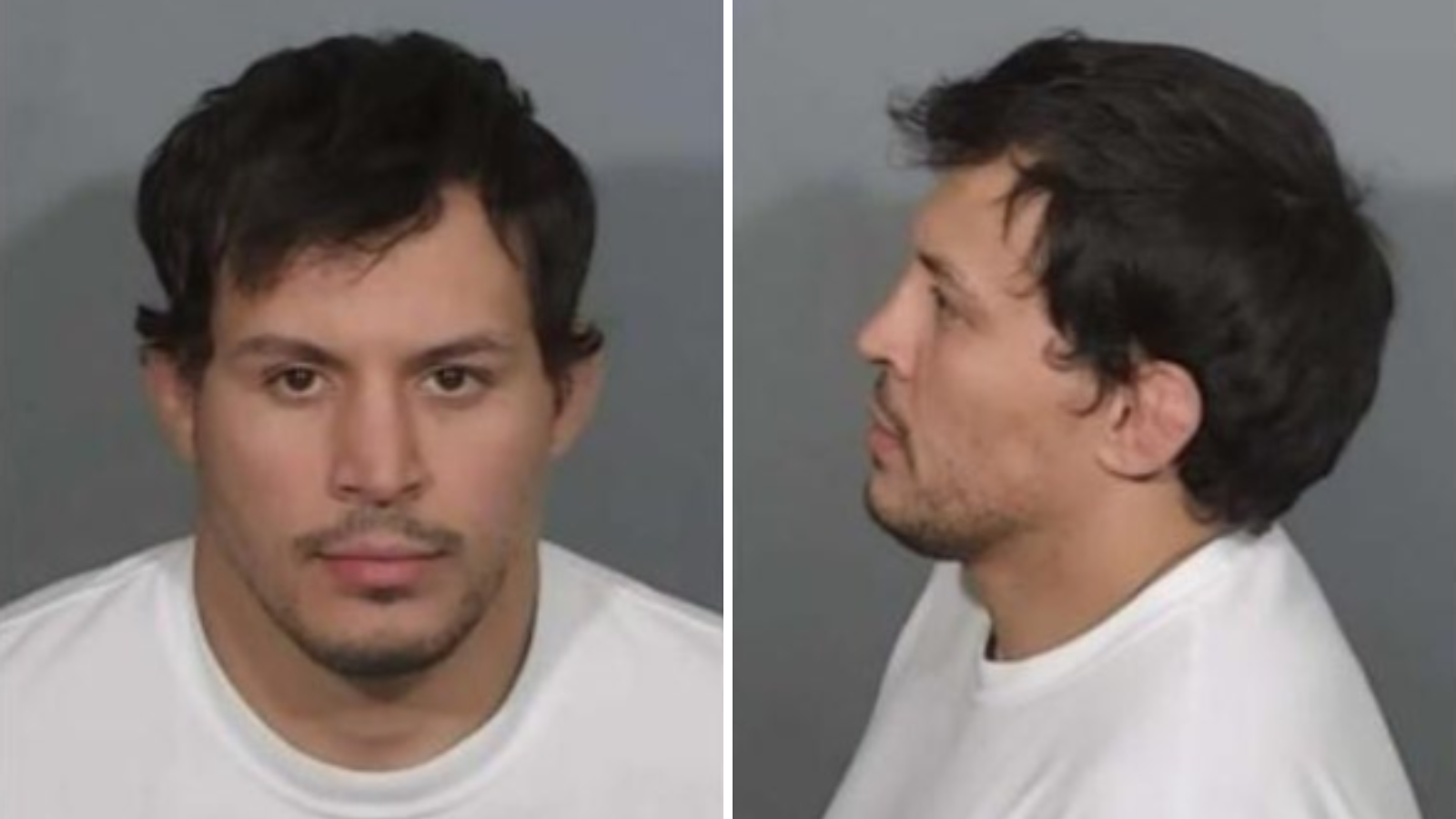 Former UFC fighter arrested for alleged gun violence - MMA Weekly