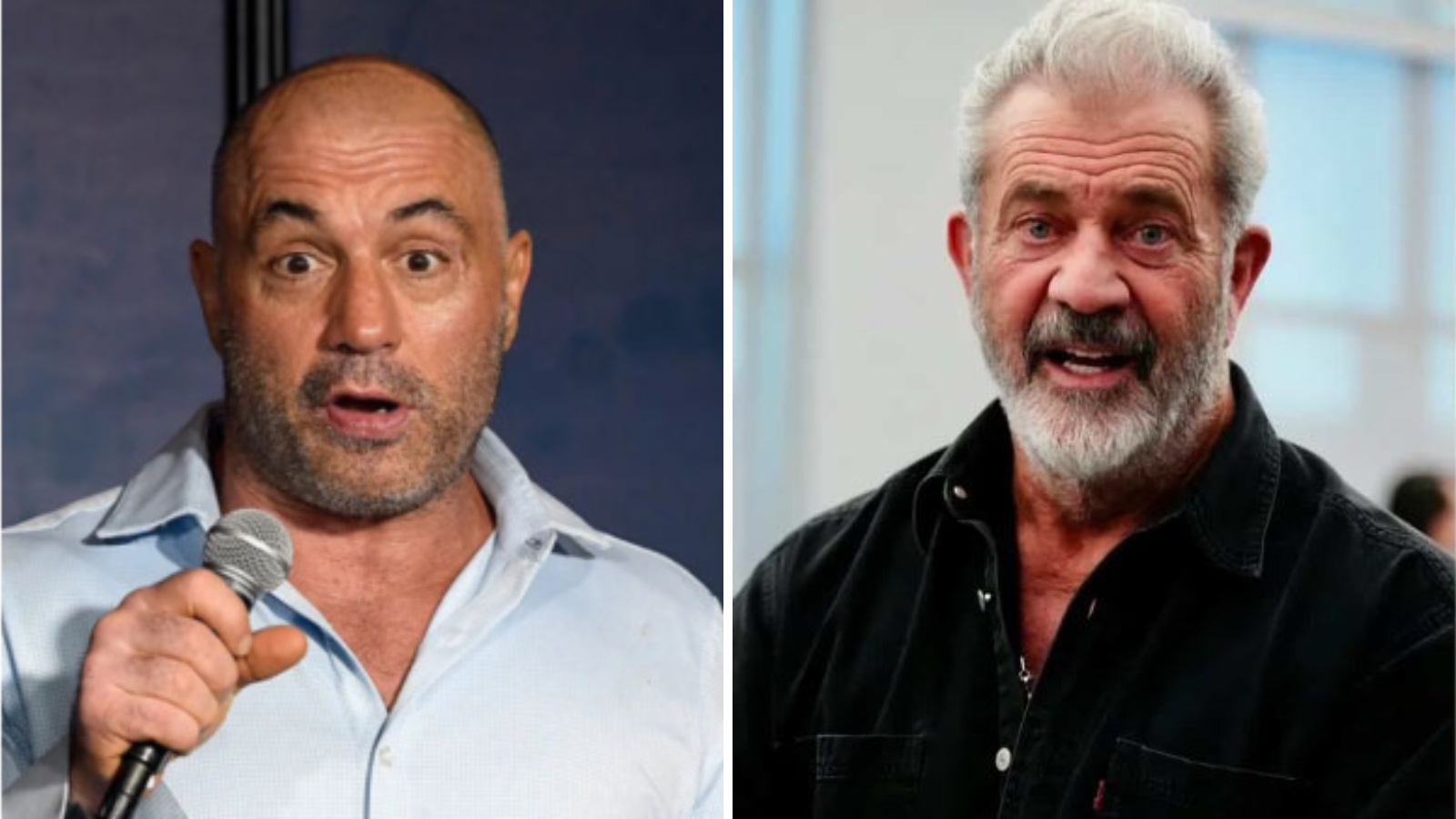 Mel Gibson's LA home burned down during appearance on the Joe Rogan ...