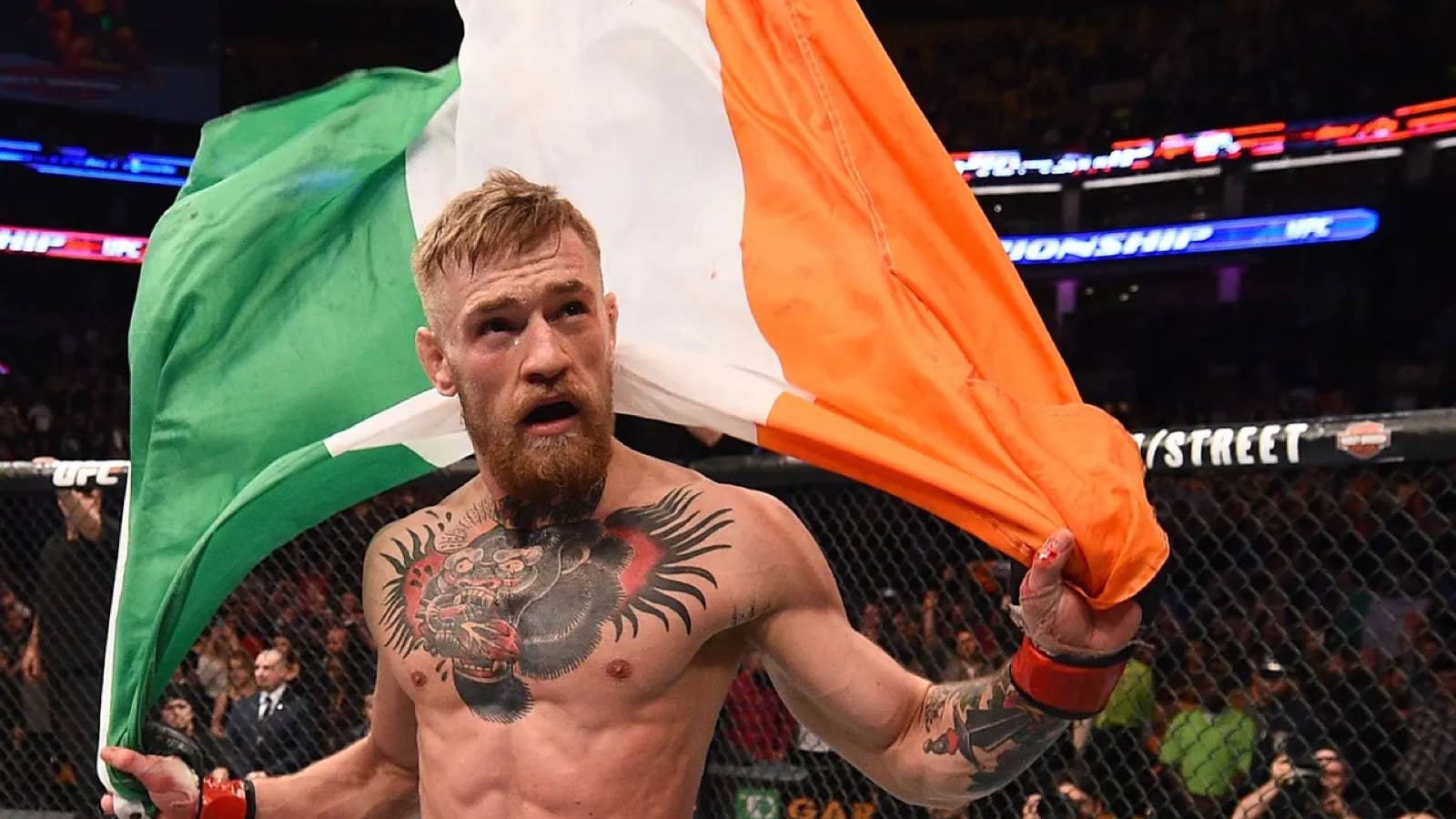 Conor McGregor teases UFC return with new training footage - MMAWeekly ...