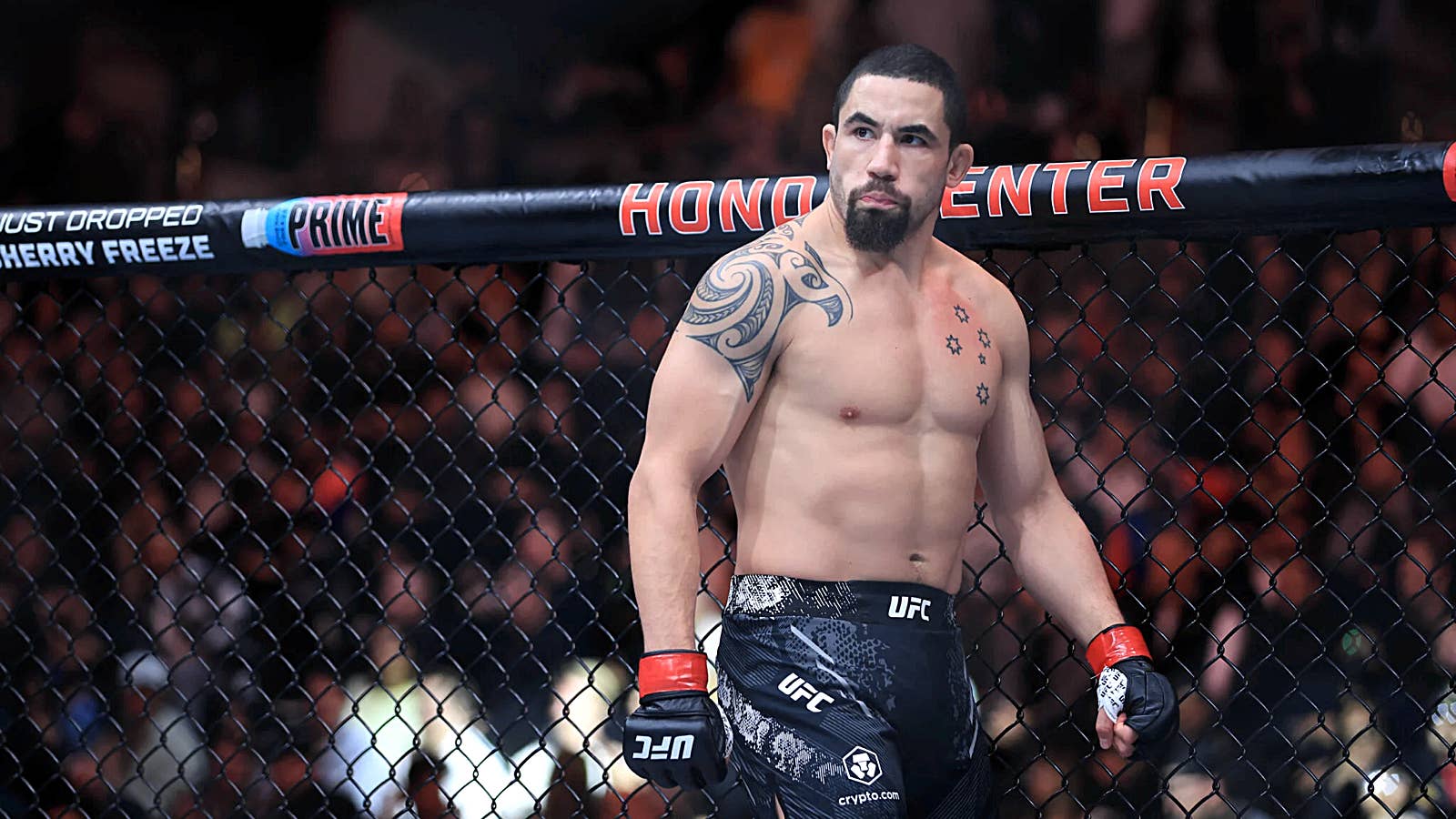 Ufc 137 Full Fight