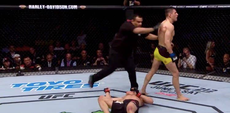 Damir Hadzovic With the Walk-Off KO! (UFC Stockholm Fight Highlights ...