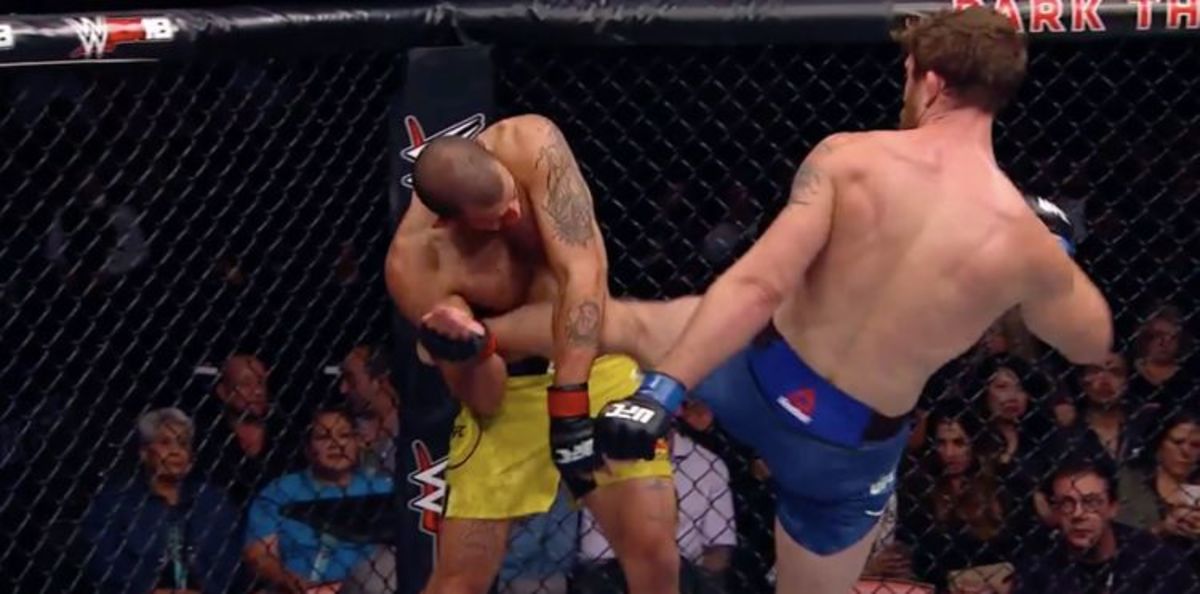 Gerald Meerschaert's Liver Shot Would Make Bas Rutten Proud (TUF 26 ...