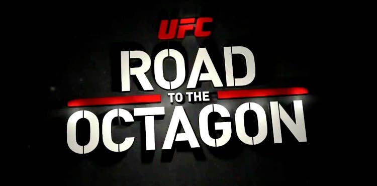 Logo Ottagonale Ufc