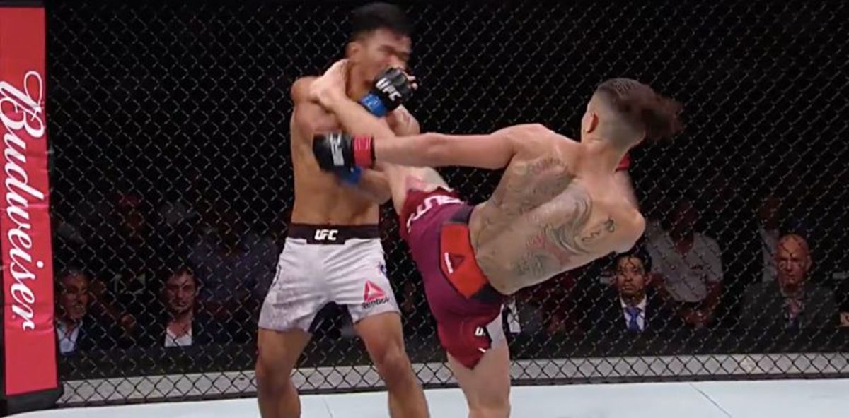 Three Low Blows Later and Teruto Ishihara Gets the Win (UFC Japan Fight ...