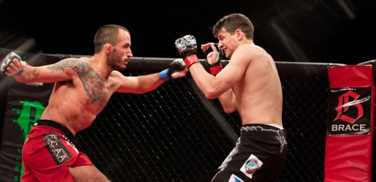 Brace For War 19 Results: Oriol Gaset Becomes Lightweight Champion ...
