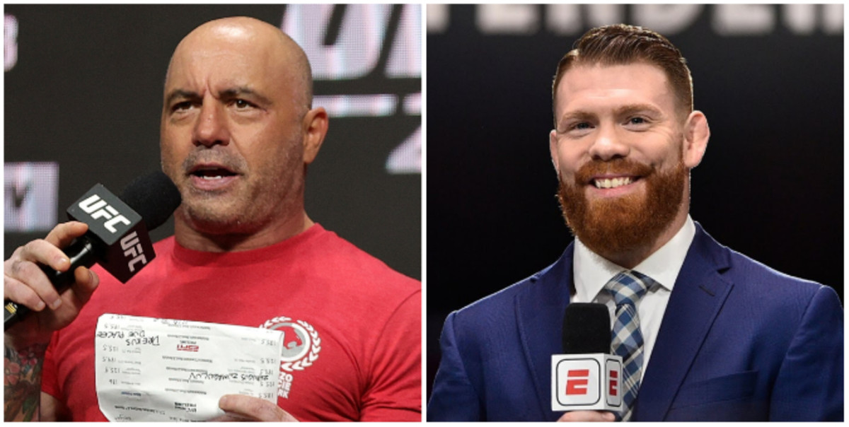 Joe Rogan Ufc Fight