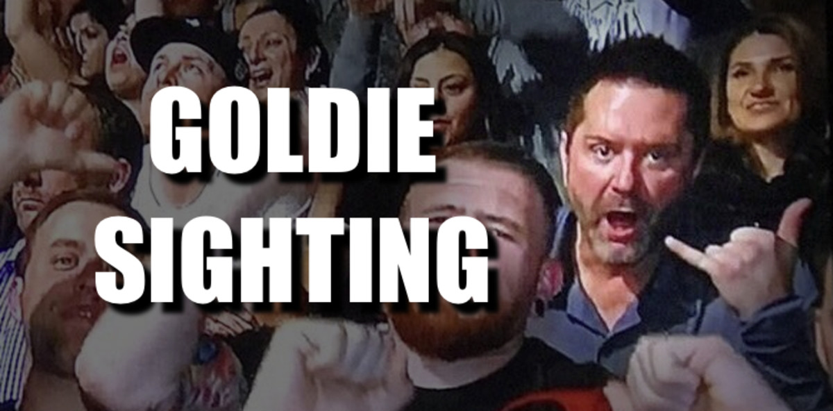 Former Announcer Mike Goldberg Was in the Crowd at UFC Phoenix and the ...