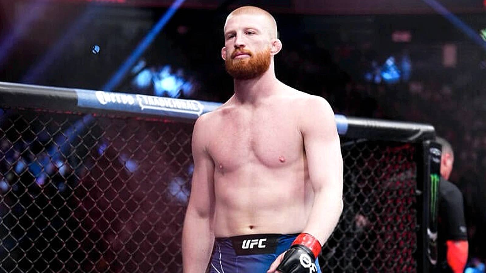 Bo Nickal knocks out Rodolfo Vieira at UFC 322 - MMA Weekly