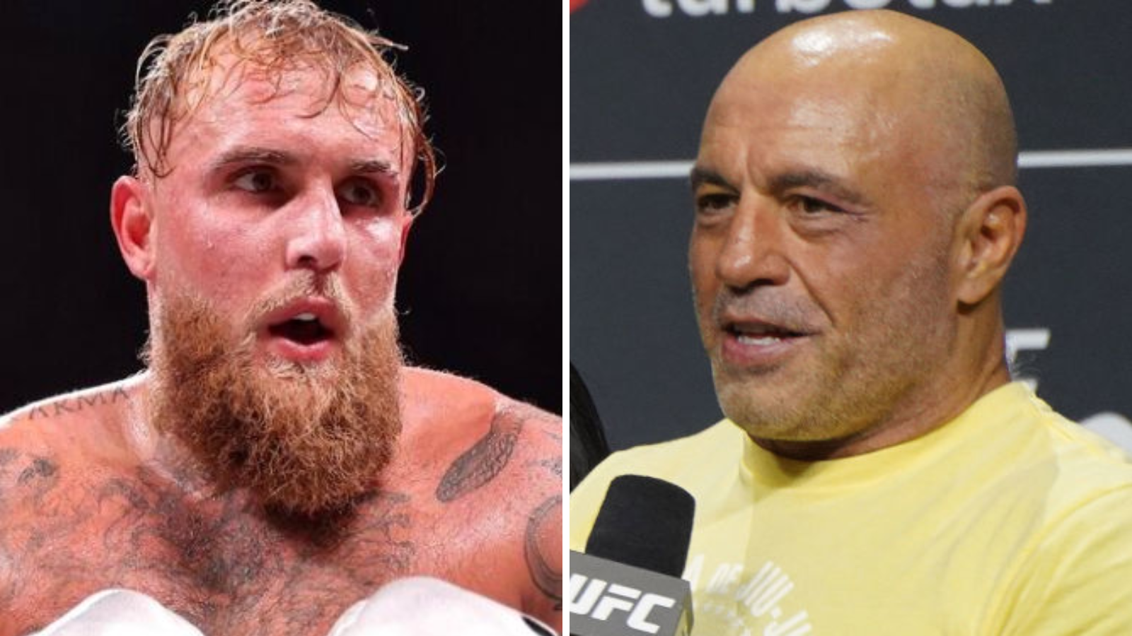 Joe Rogan calls for Jake Paul's retirement from boxing - MMA Weekly