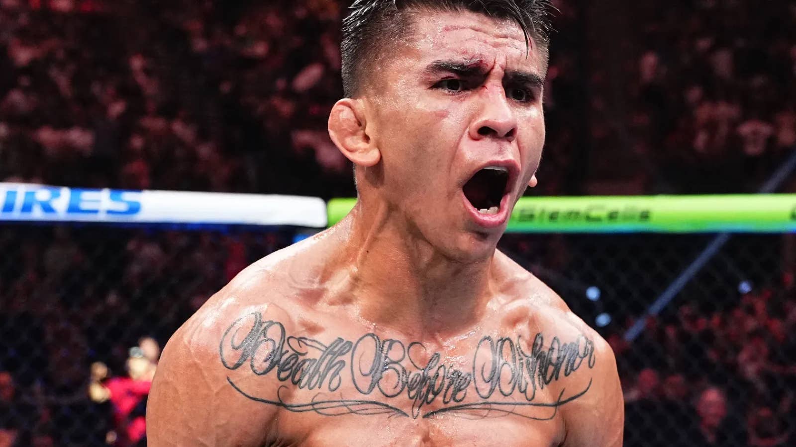 Mario Bautista submits Vinicius Oliveira in UFC Vegas 113 main event ...