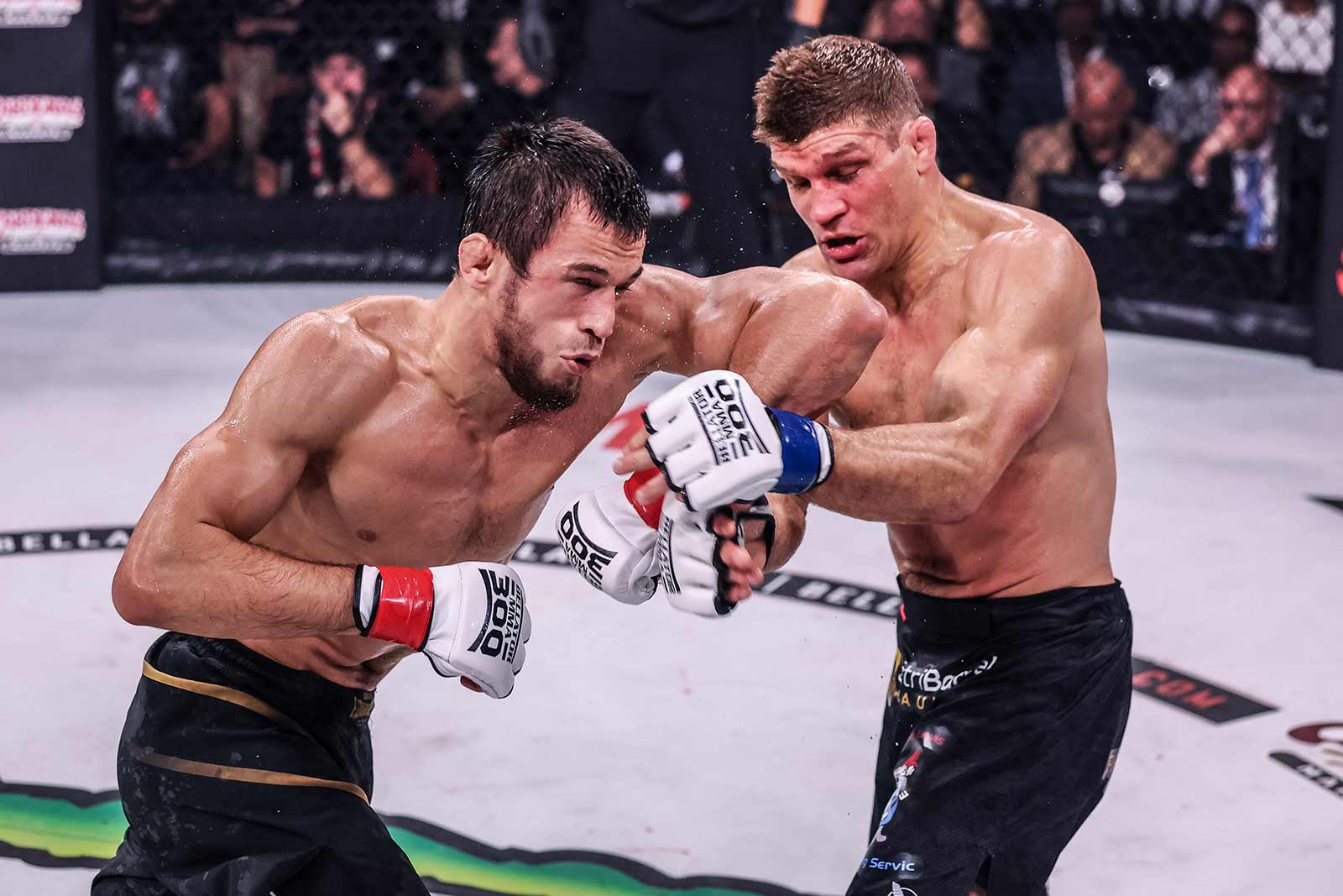 Bellator 300 Main Card Photo Gallery - MMA Weekly
