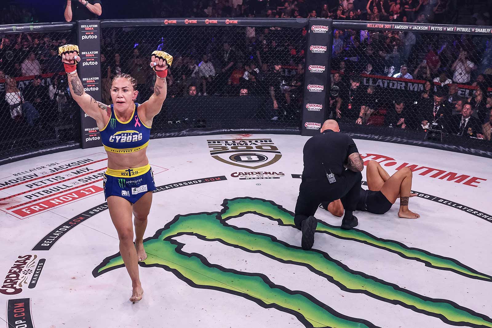 Bellator 300 Main Card Photo Gallery - MMA Weekly