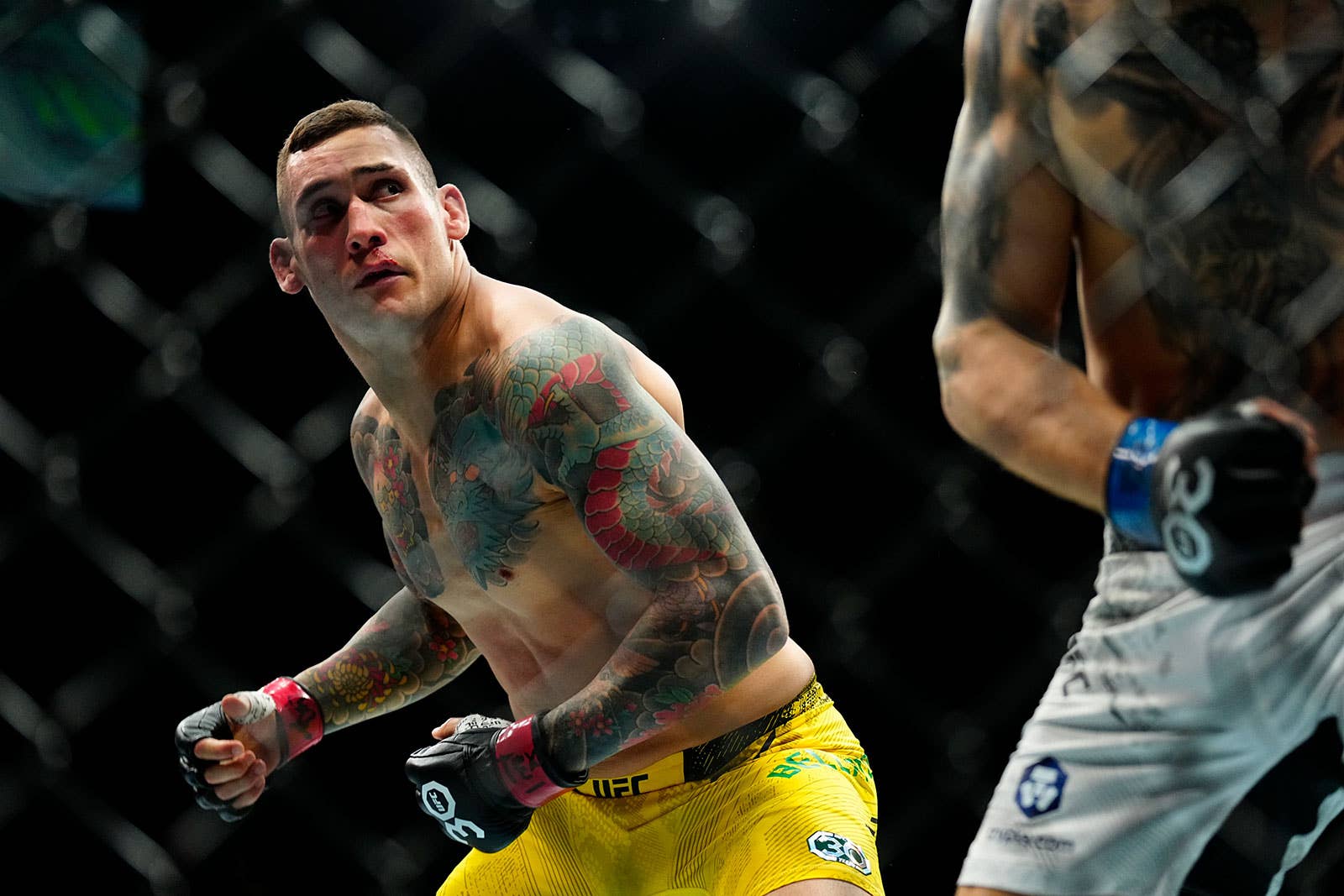 UFC Austin Photo Gallery - MMA Weekly