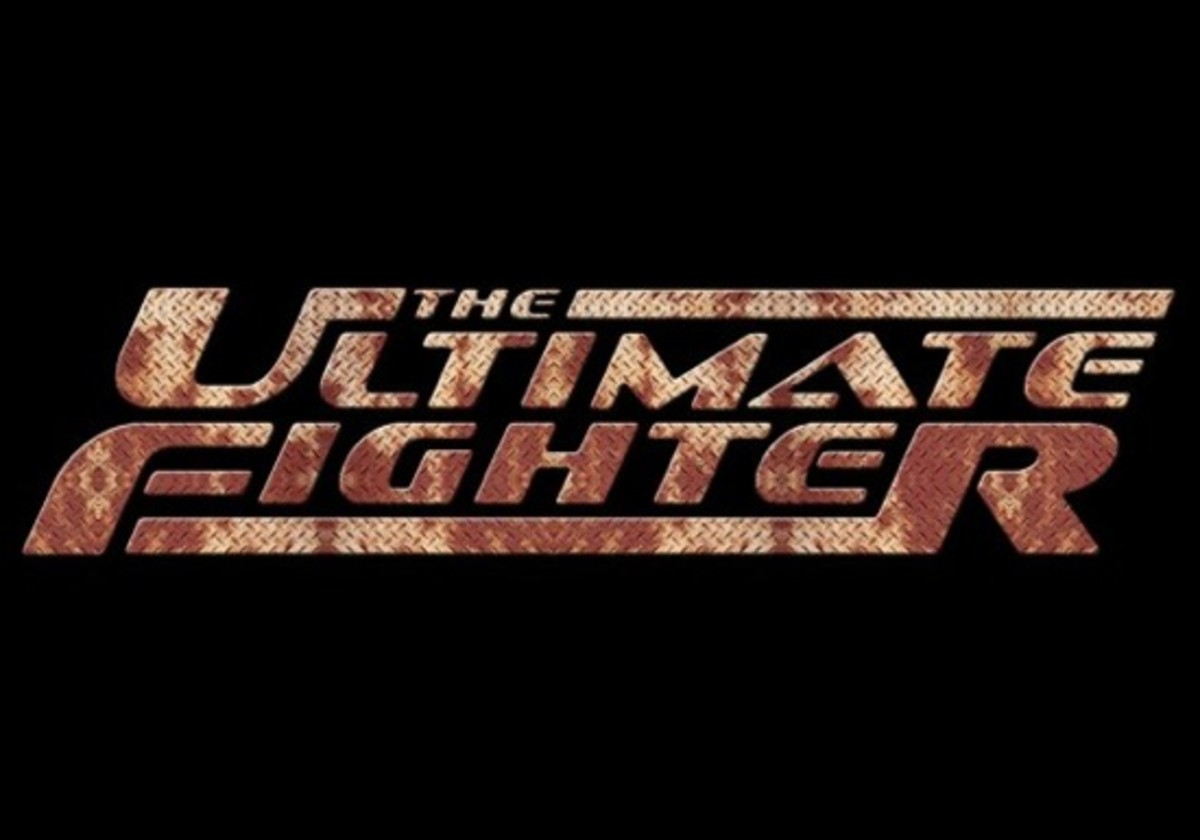 Fighters From Latin America To Be Featured on Next International ...