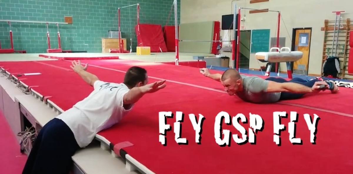 Now's a Good Time to Watch a Video of Georges St-Pierre Working Out ...